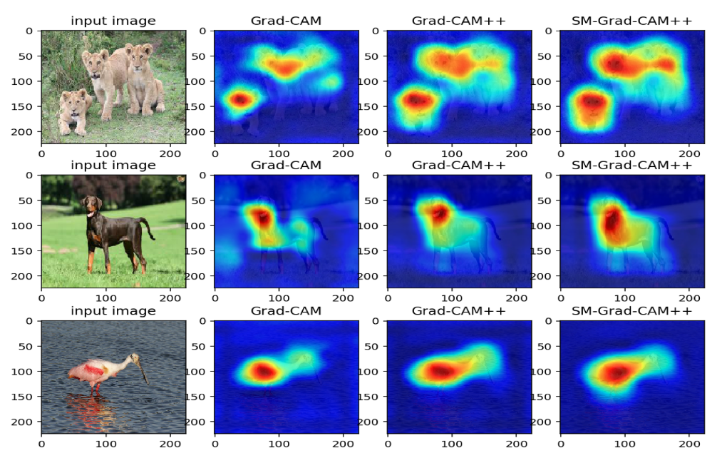 Smooth Grad-CAM++: An Enhanced Inference Level Visualization Technique for Deep Convolutional ...